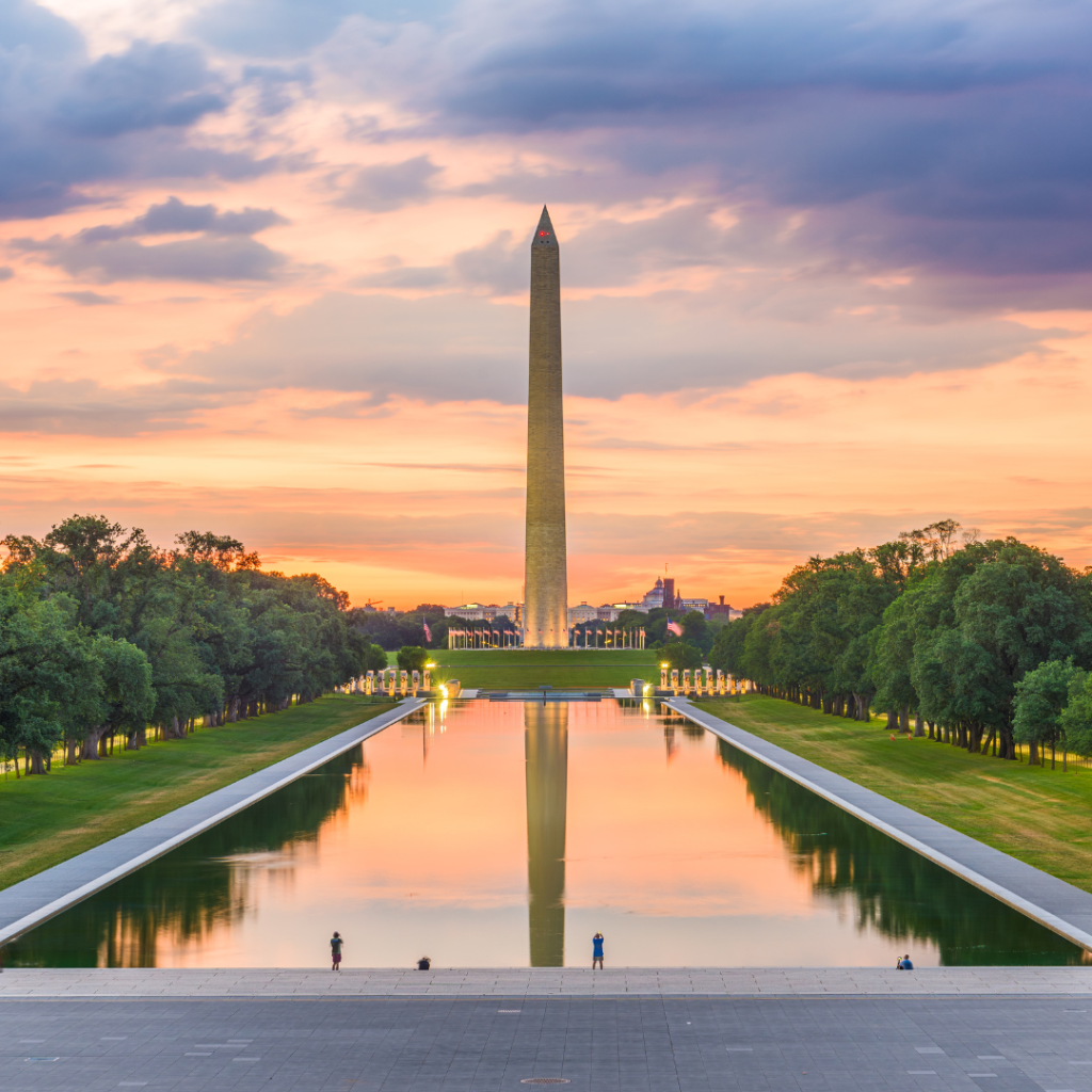 The Society for Risk Analysis: A Community for Risk Science - Society ...